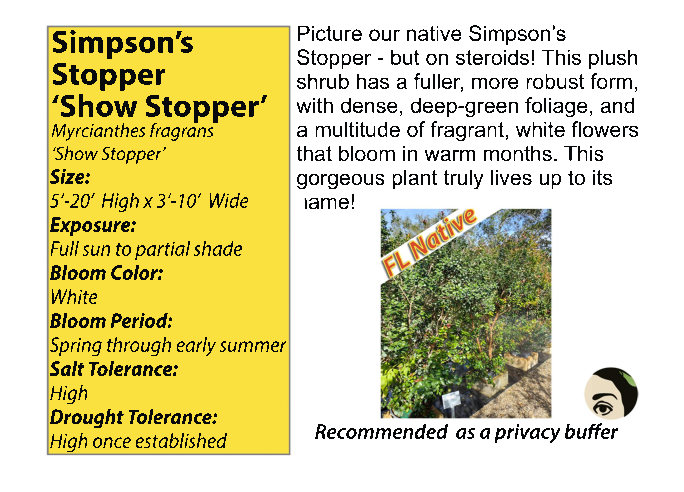 Amelia's SmartyPlants - Stopper Simpson Show Stopper 7g